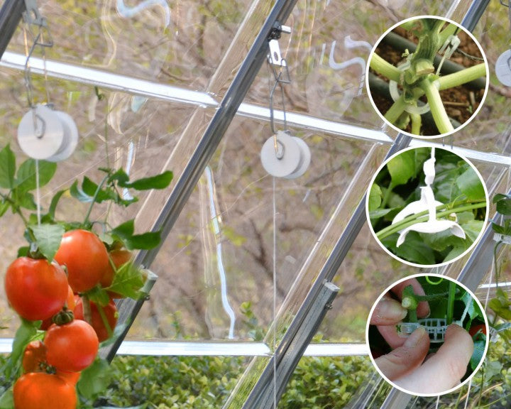 Greenhouse Trellis Kit – Grizzly Shelter Ltd.